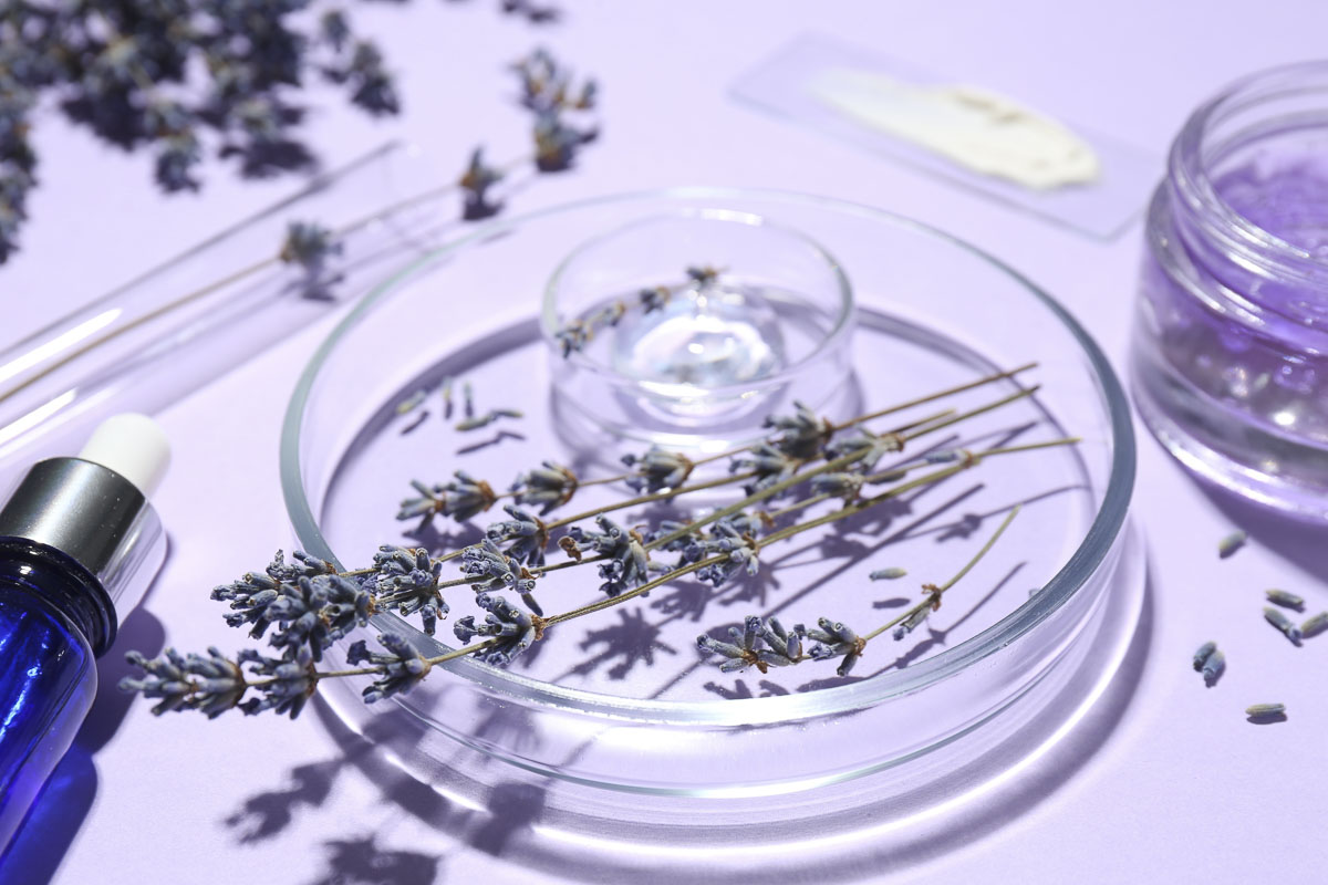 The use of medicinal lavender and its effects - Oral care, the field of ...